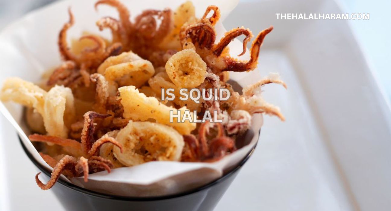 Is Squid Halal? Complete Guide for Muslims in 2025 - The Halal haram
